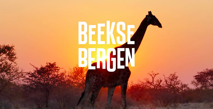Safaripark Beekse Bergen Logo : Gemsbok Safaripark Beekse Bergen ... Safaripark Beekse Bergen Logo : Gemsbok Safaripark Beekse Bergen ...
