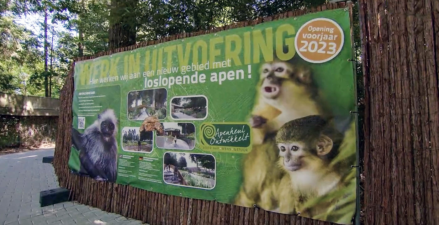 Video: Apenheul start bouw van nieuw losloopgebied met zeldzame ...